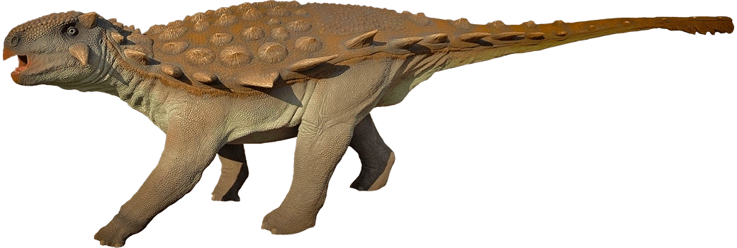 Gargoyleosaurus | Dinosaur Wiki | Fandom