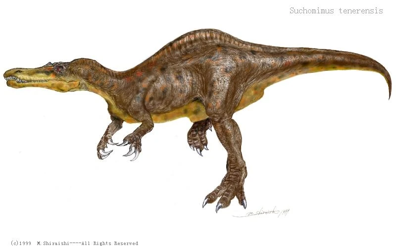 Cristatusaurus | Wiki Dino | Fandom