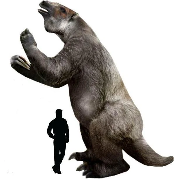 Megatherium | Wiki Dino | Fandom