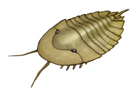 Xandarella | Wiki Dino | Fandom