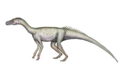 Sacisaurus | Wiki Dino | Fandom