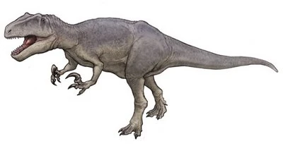 Megaraptor | Wiki Dino | Fandom