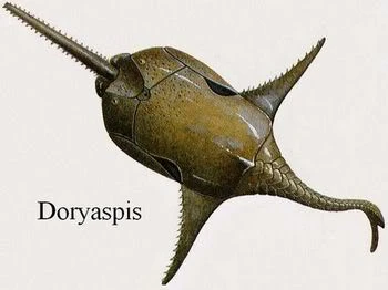 Doryaspis | Wiki Dino | Fandom