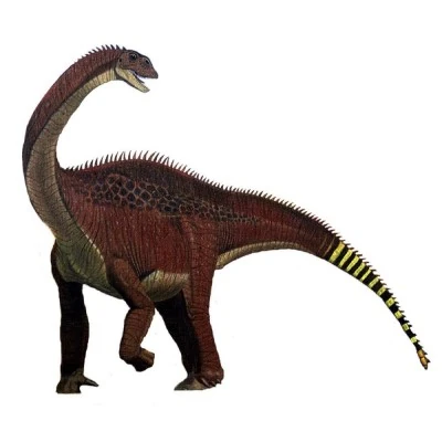 Shunosaurus | Wiki Dino | Fandom