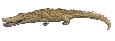 Laganosuchus | Wiki Dino | Fandom