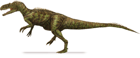 Neovenator | Dinosaur Wiki | Fandom