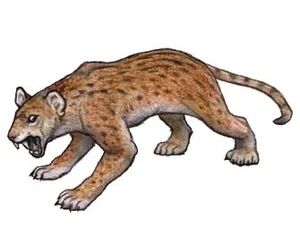 Dinictis | Wiki Dino | Fandom