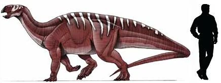 Tenontosaurus | Wiki Dino | Fandom