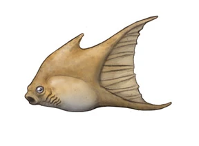 Furcacauda | Wiki Dino | Fandom