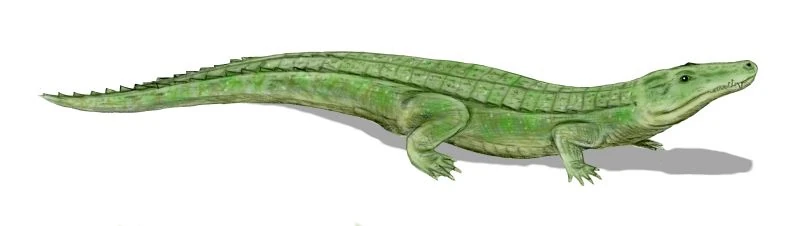 Goniopholis | Wiki Dino | Fandom