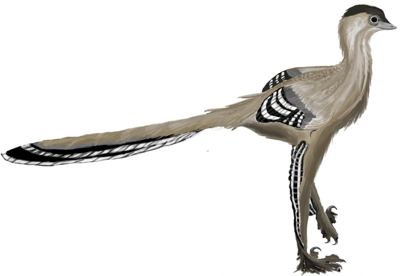 Mei | Wiki Dino | Fandom