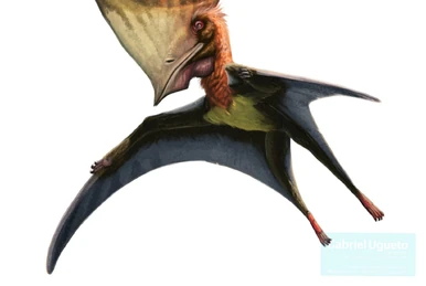 primeval pteranodon