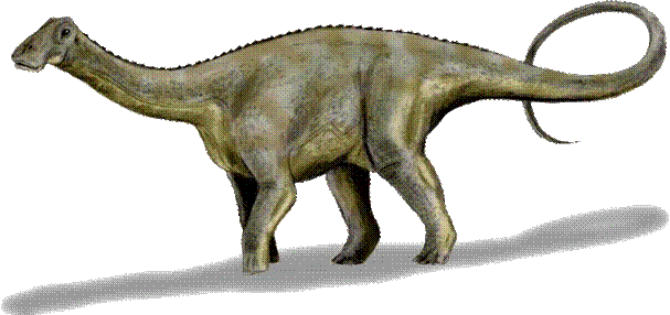 Nigersaurus | Dinosaur Wiki | Fandom