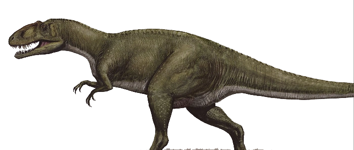 Sinraptor | Dinosaur Wiki | Fandom