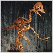 Oviraptor/Gallery | Dinosaur Wiki | Fandom