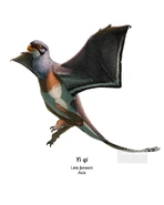 Yi | Dinosaur Wiki | Fandom