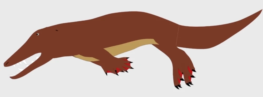 Ambulocetus | Wiki Dino | Fandom