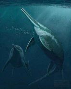 Shonisaurus | Dinosaur Wiki | Fandom