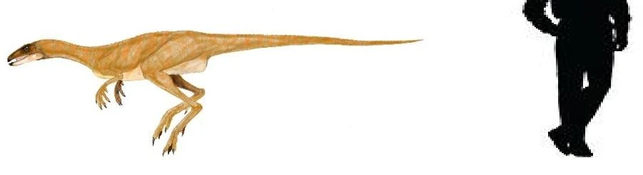 Lesothosaurus | Wiki Dino | Fandom