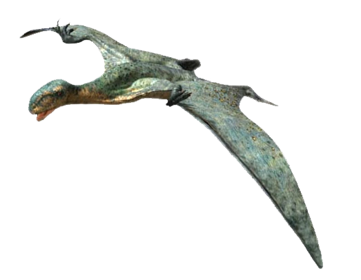 Anurognathus | Dinosaur Wiki | Fandom