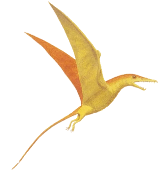 Sordes | Dinosaur Wiki | Fandom