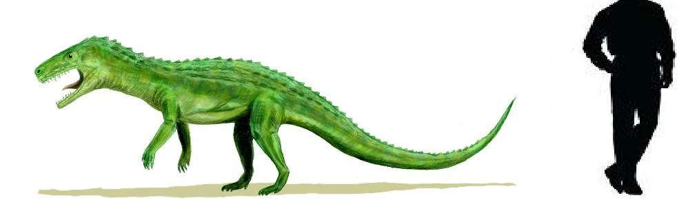 Categoría:Arcosaurios | Wiki Dino | Fandom