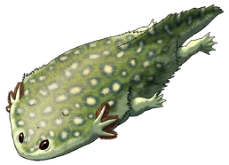 Plagiosaurus | Dinosaur Wiki | Fandom