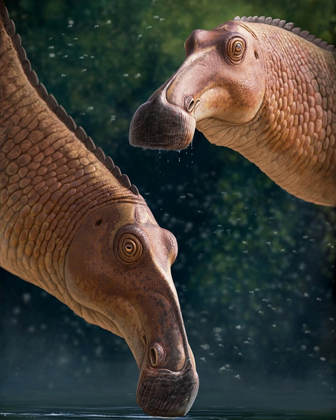 Edmontosaurus/Gallery | Dinosaur Wiki | Fandom