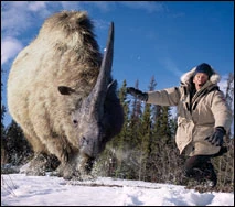 Prehistoric Park | Dinosaur Wiki | Fandom