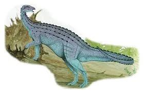 Emausaurus | Wiki Dino | Fandom