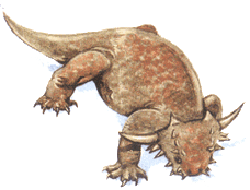 Elginia | Dinosaur Wiki | Fandom