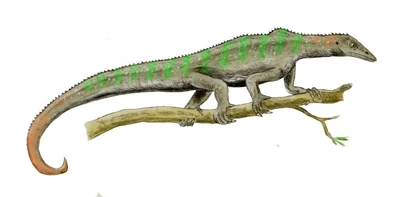 Megalancosaurus | Wiki Dino | Fandom