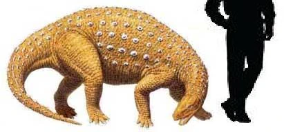 Minmi | Wiki Dino | Fandom