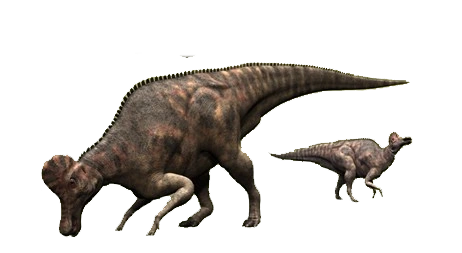 Corythosaurus/Gallery | Dinosaur Wiki | Fandom