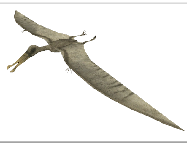 Ornithocheirus | Dinosaur Wiki | Fandom