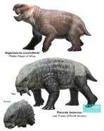 Placerias | Dinosaur Wiki | Fandom