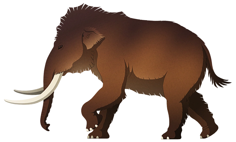 Pygmy Mammoth | Dinosaur Wiki | Fandom