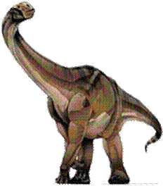 Cetiosaurus