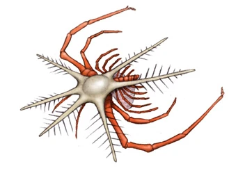 Mimetaster | Wiki Dino | Fandom