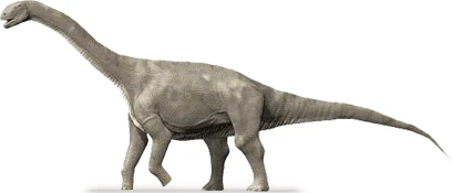 Turiasaurus | Wiki Dino | Fandom