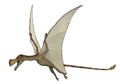 Austriadactylus | Wiki Dino | Fandom