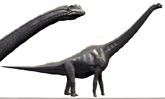 Sauroposeidon | Dinosaur Wiki | Fandom
