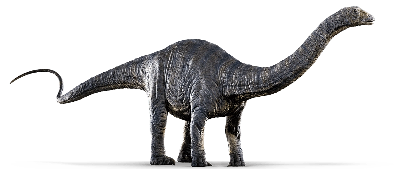 Apatosaurus