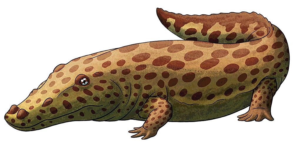 Nigerpeton | Dinosaur Wiki | Fandom