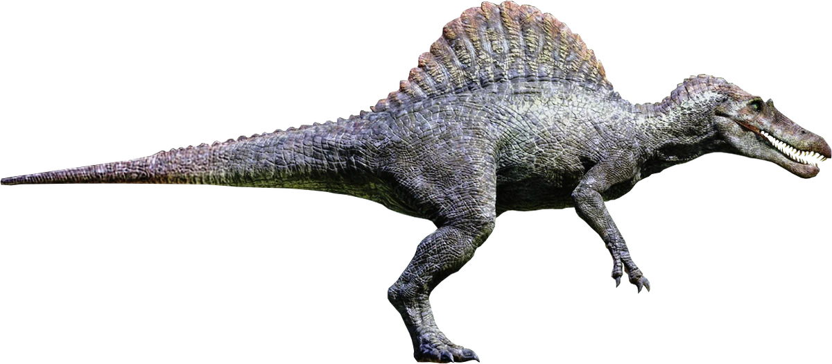 Spinosaurus | Dinosaur Wiki | Fandom