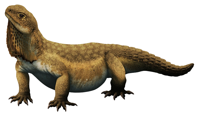 Barbaturex | Dinosaur Wiki | Fandom