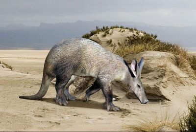 Leptorycteropus | Wiki Dino | Fandom