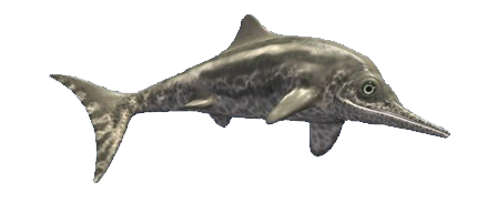 Ichthyosaurus | Dinosaur Wiki | Fandom