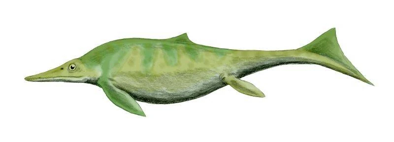 Californosaurus | Wiki Dino | Fandom