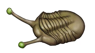 Neoasaphus | Wiki Dino | Fandom